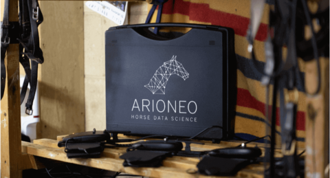 Arioneo | Santé et performance du cheval athlète - Vet Services