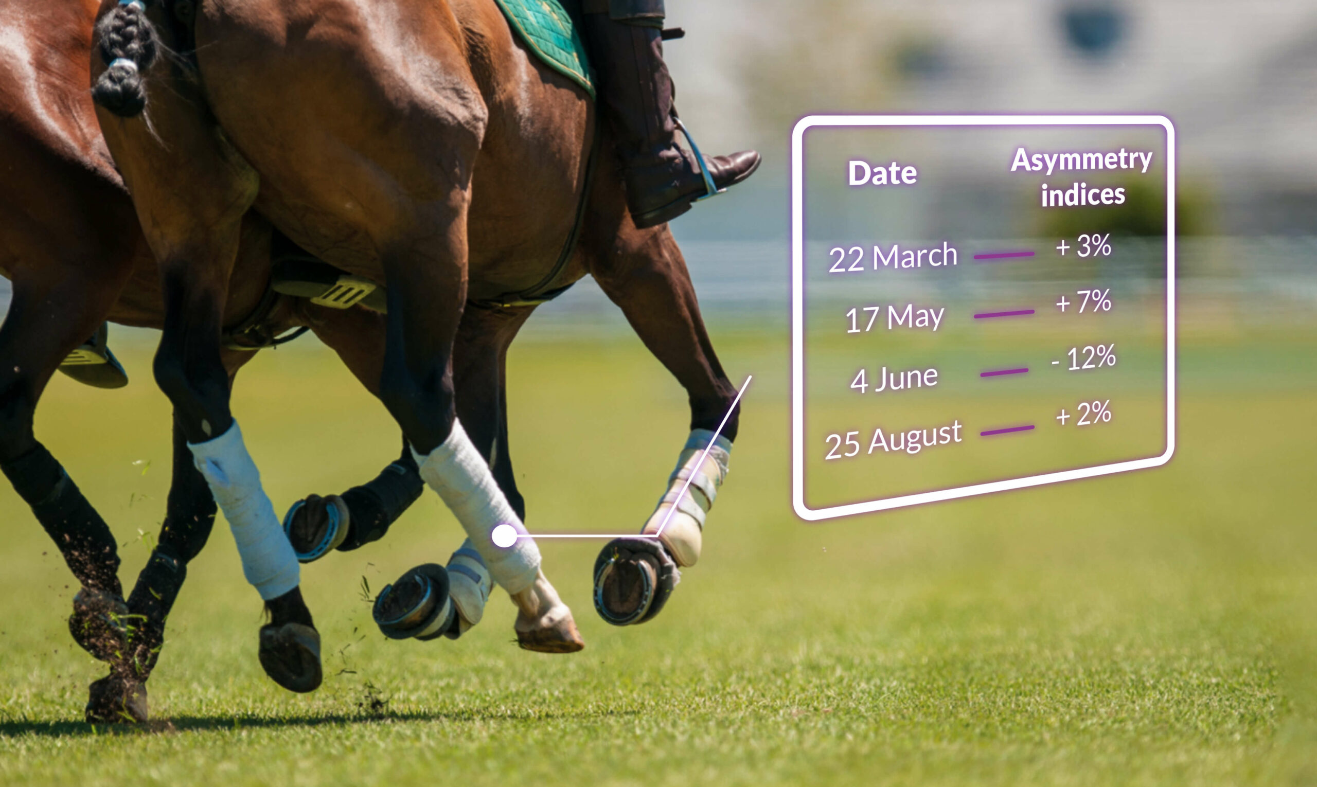 Longitudinal monitoring of the athletic horse's locomotion