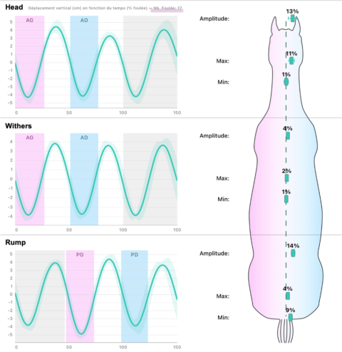 How to measure the evolution of the horse's locomotion?