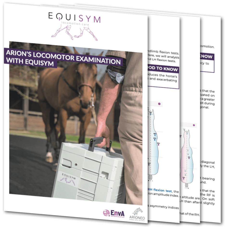 Locomotor examination - EQUISYM - Vet Services