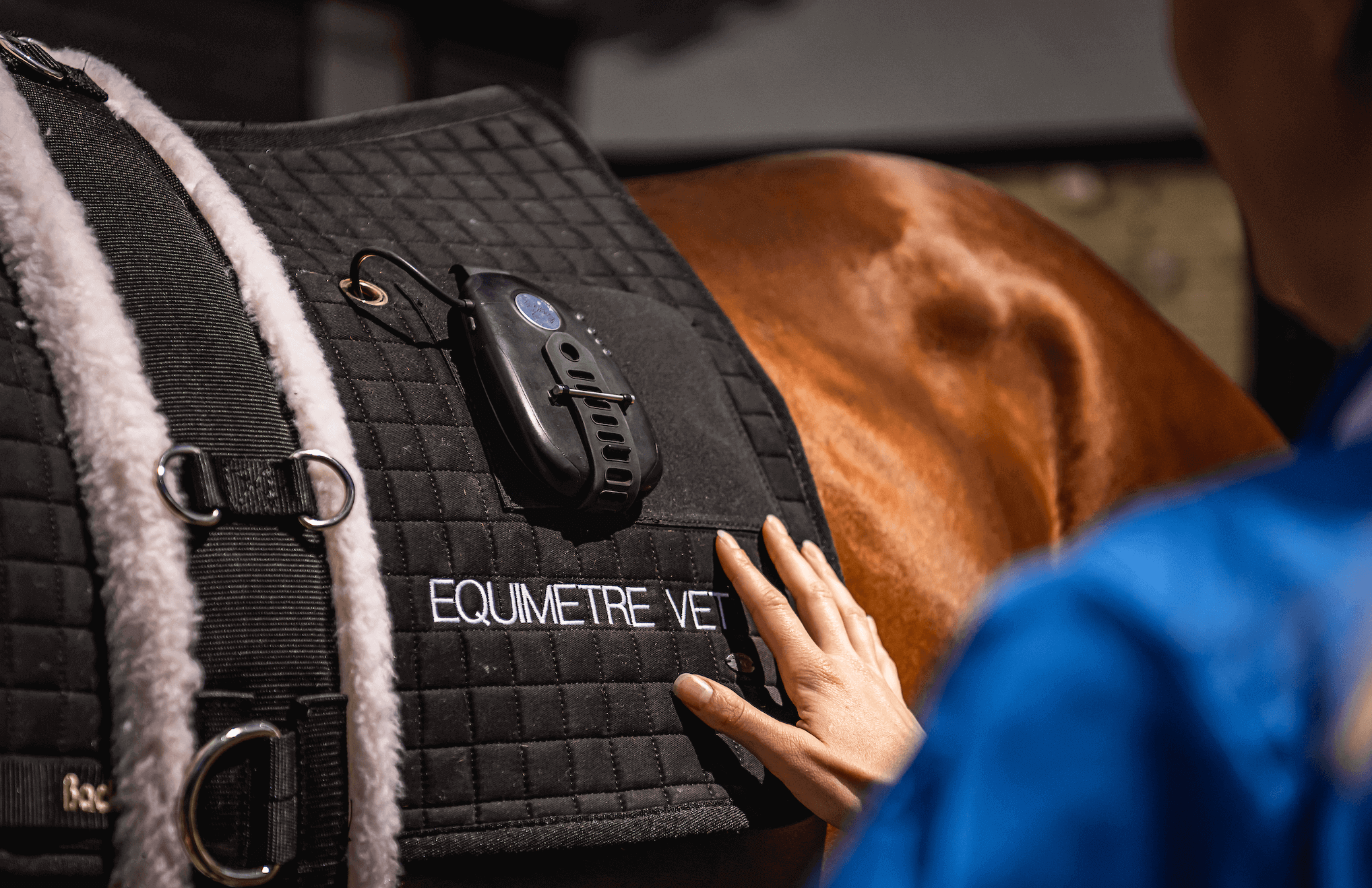 How to implement a connected sensor in your veterinary activity?