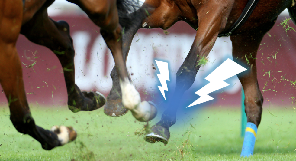 Bones response to loading